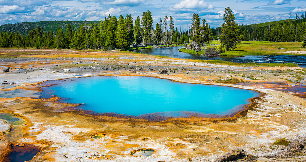 ショットガンメタゲノムシーケンス | Gene Nex – 次世代シーケンス受託解析サービス「ジーンネックス」