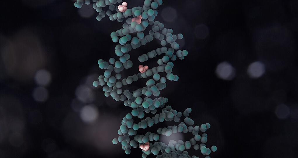 ヒト全ゲノムバイサルファイトシーケンス(WGBS) | Gene Nex – 次世代シーケンス受託解析サービス「ジーンネックス」