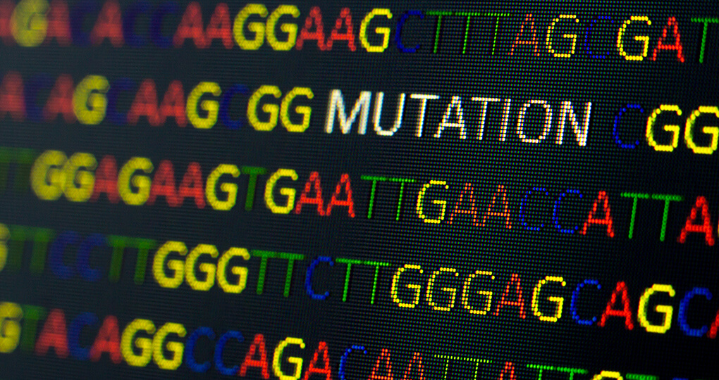 ヒト全ゲノムシーケンス(WGS) | Gene Nex – 次世代シーケンス受託解析サービス「ジーンネックス」
